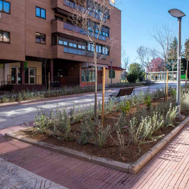 Obras Calle París | Ayuntamiento de Pozuelo de Alarcón